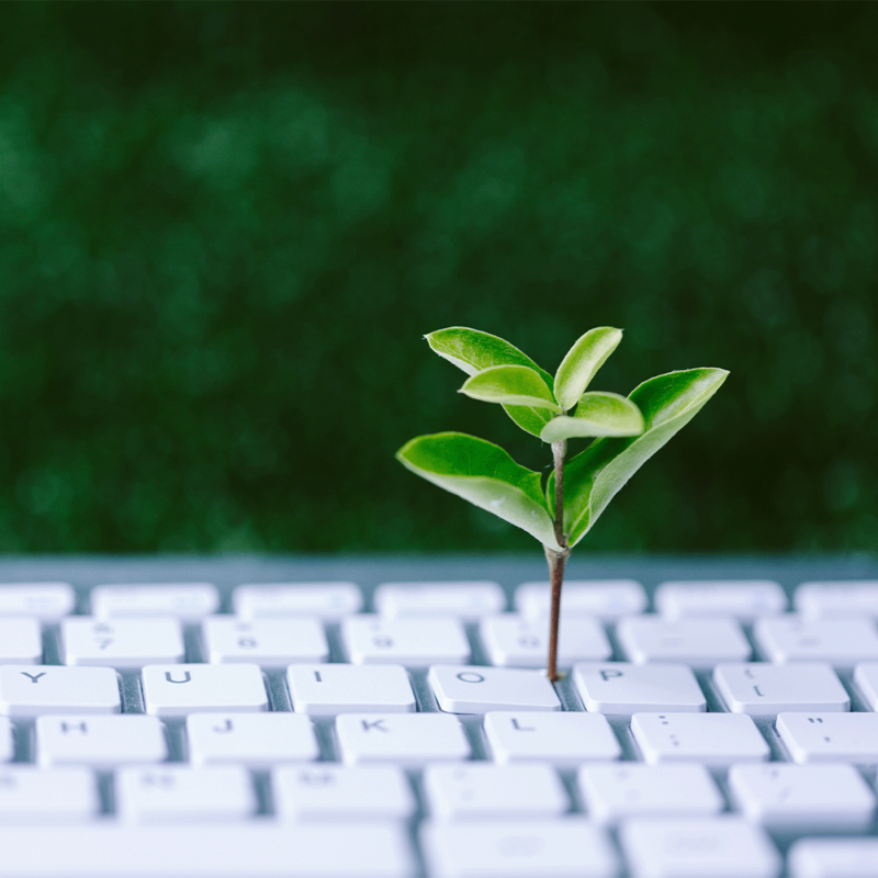 The Easiest Ways to Master Eco-Friendly IT Practices – 10-100